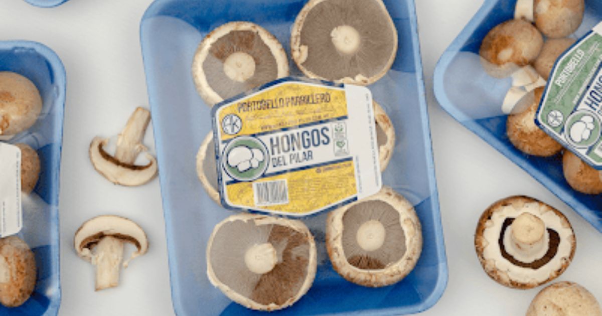 Hongos del Pilar suma portobellos parrilleros y acelera su… | Revista ...